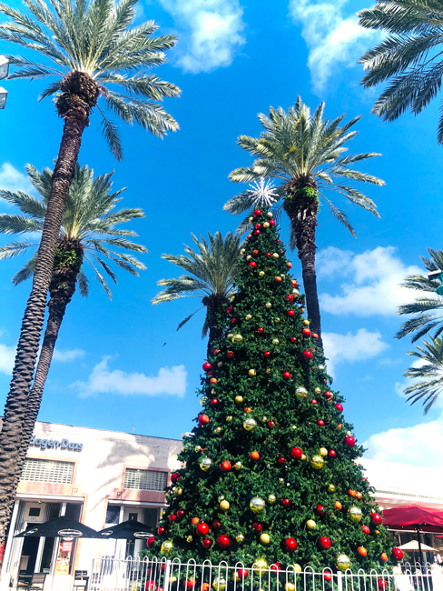 Winter Holidays | Sho + 1